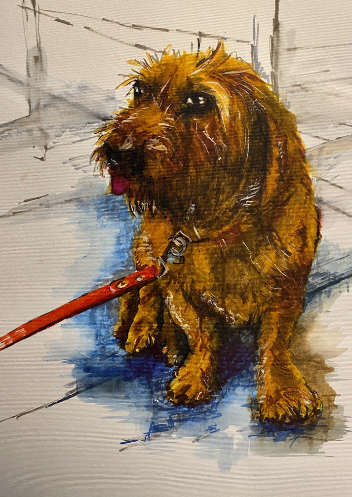 Benson - Prints – Piccalillidesigns